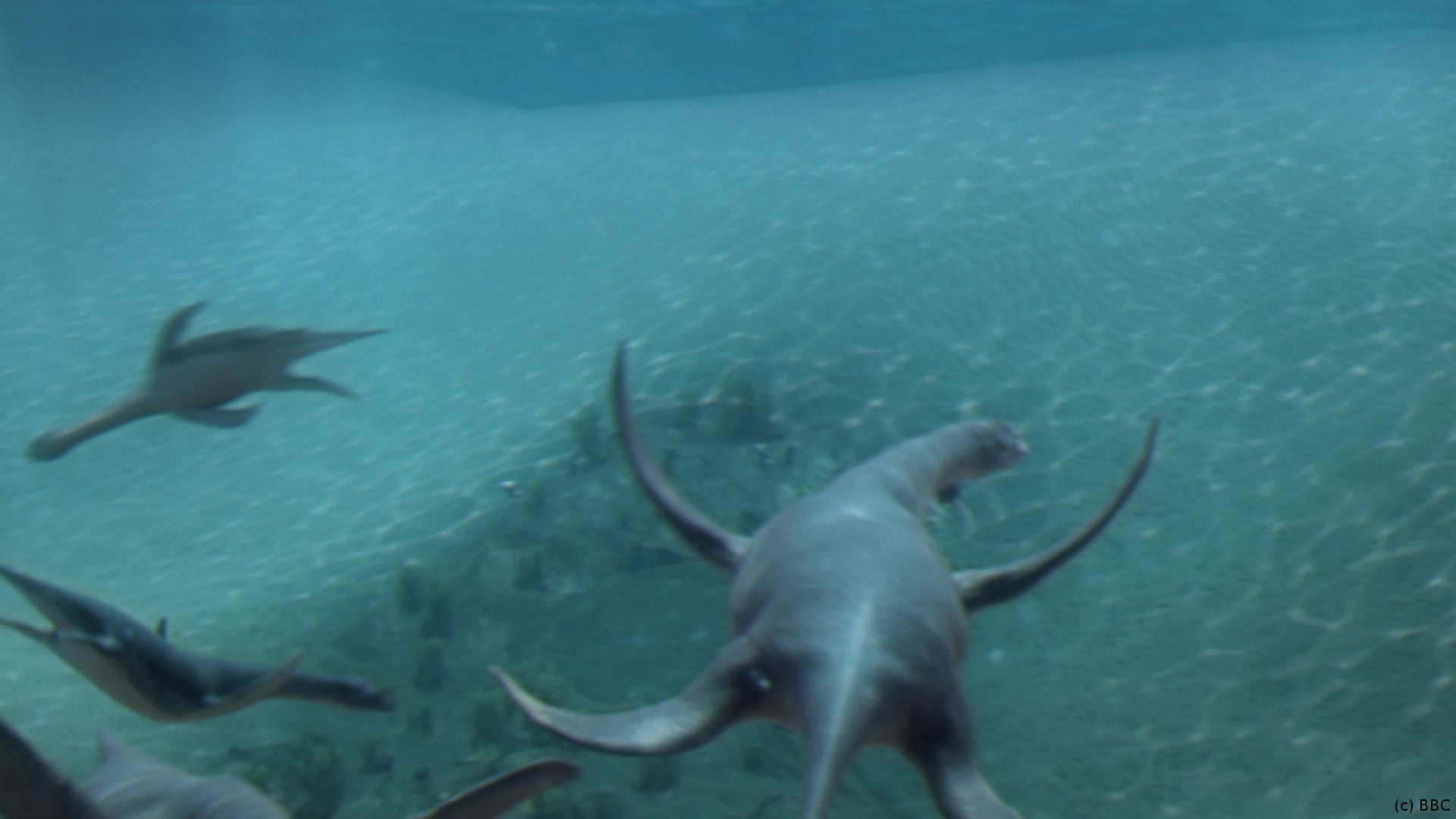 Saurier - Vielfalt, Angepasstheit, Evolution