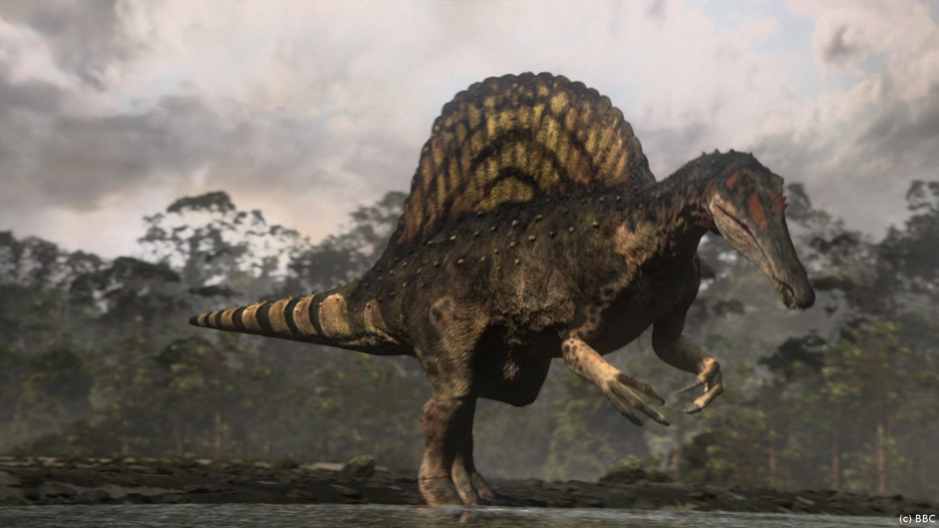 Saurier - Vielfalt, Angepasstheit, Evolution